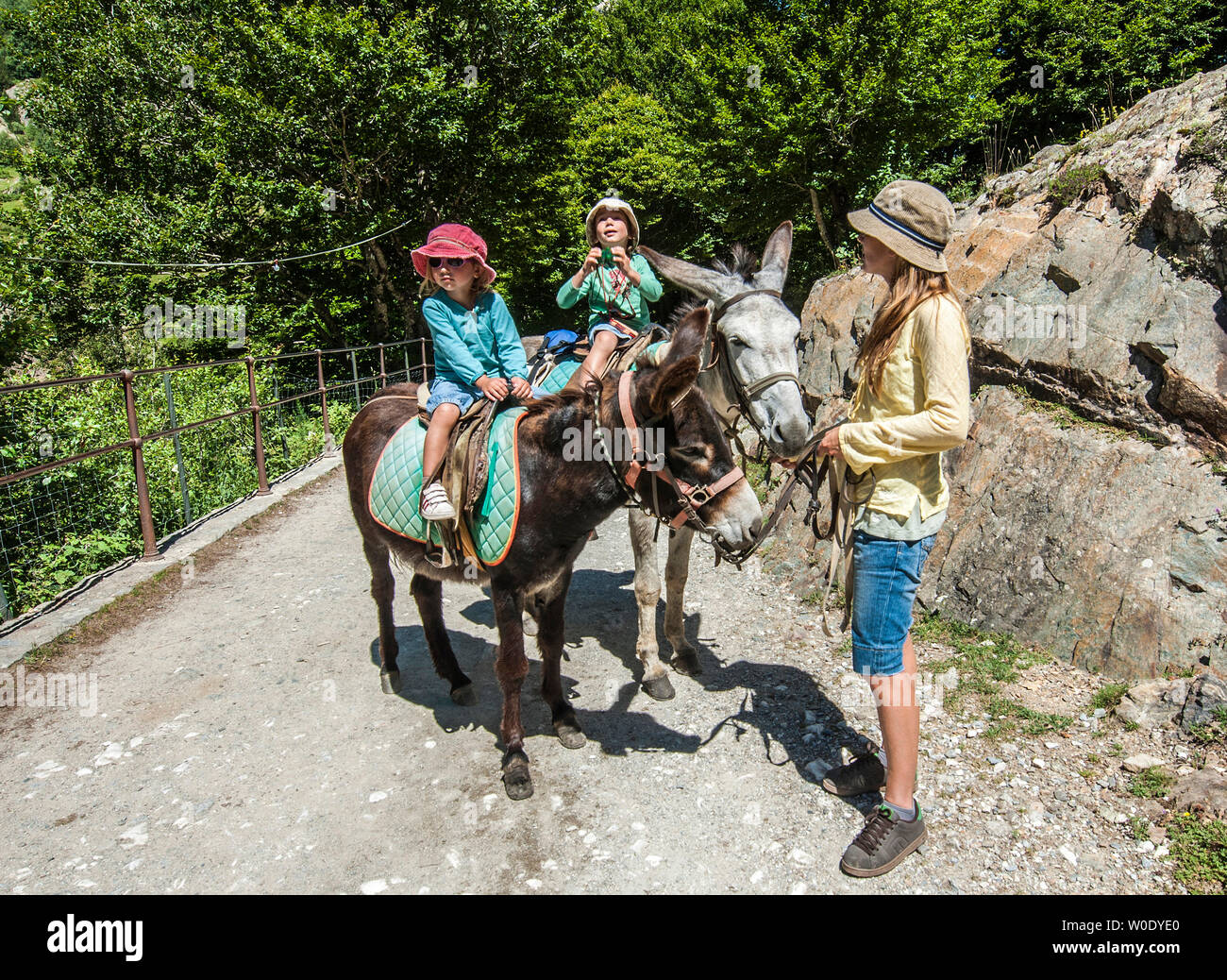 Pyrenees National Park, Hautes-Pyrenees, donkey ride in the Cirque de ...