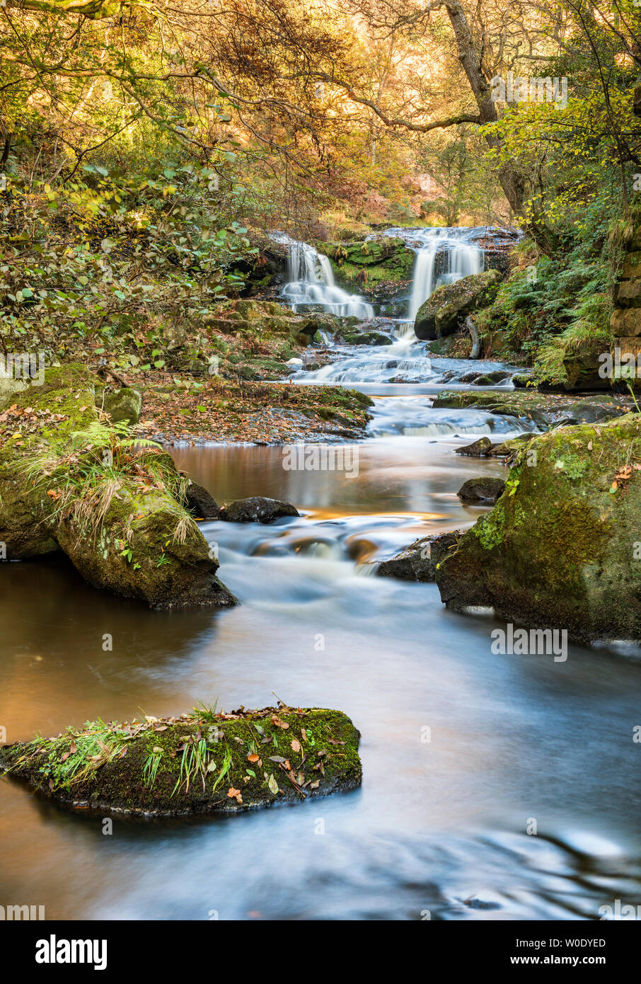 Thomason Foss waterfall near Beck Hole on the North York Moors Stock ...