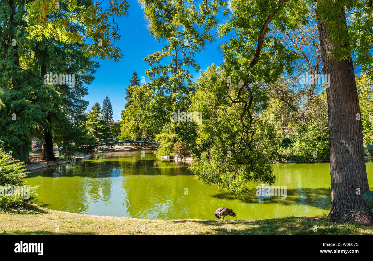 France, Gironde, Bordeaux, Jardin Public's lake Stock Photo - Alamy
