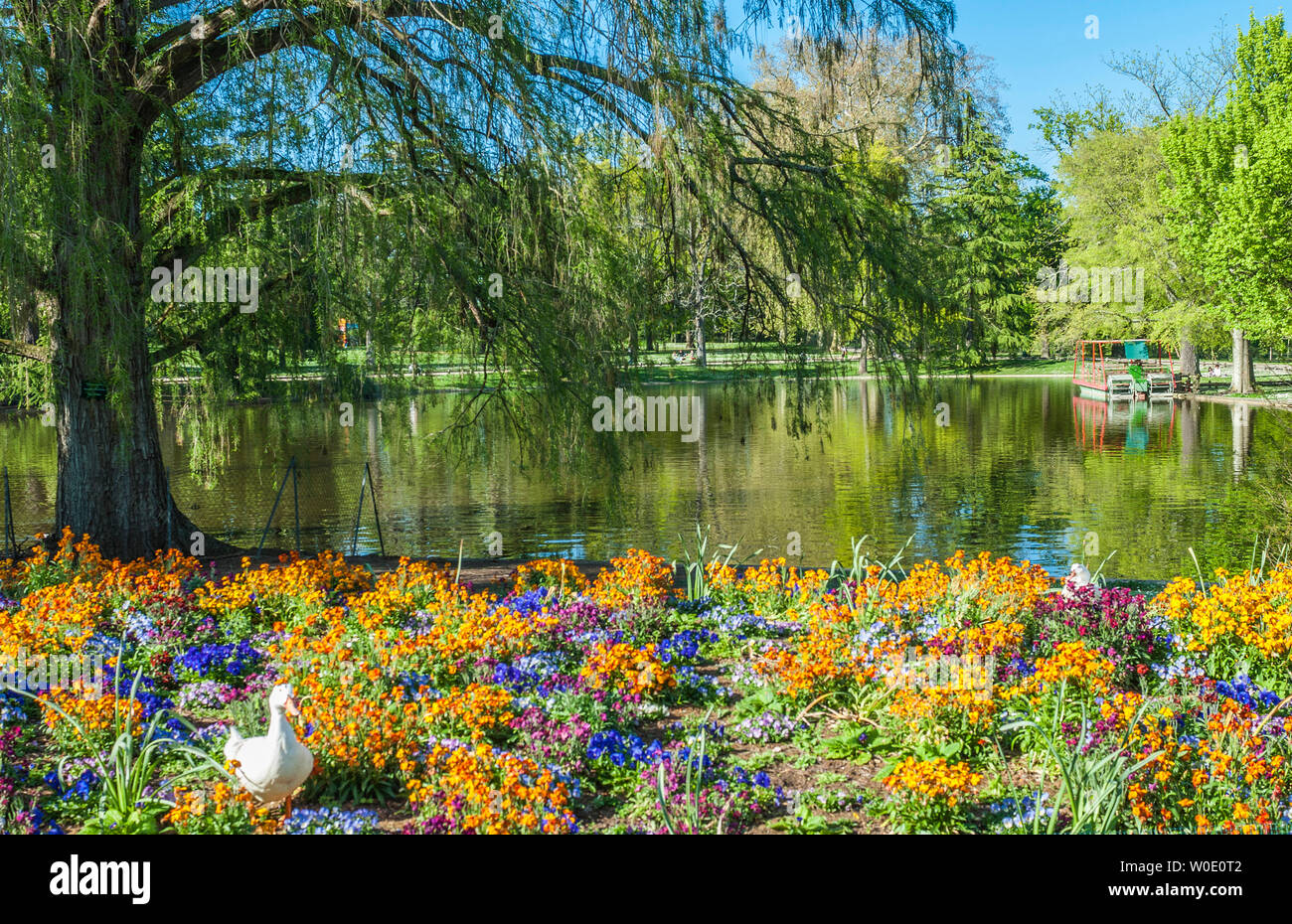 France, Gironde, Bordeaux, lake in the Parc Bordelais Stock Photo - Alamy