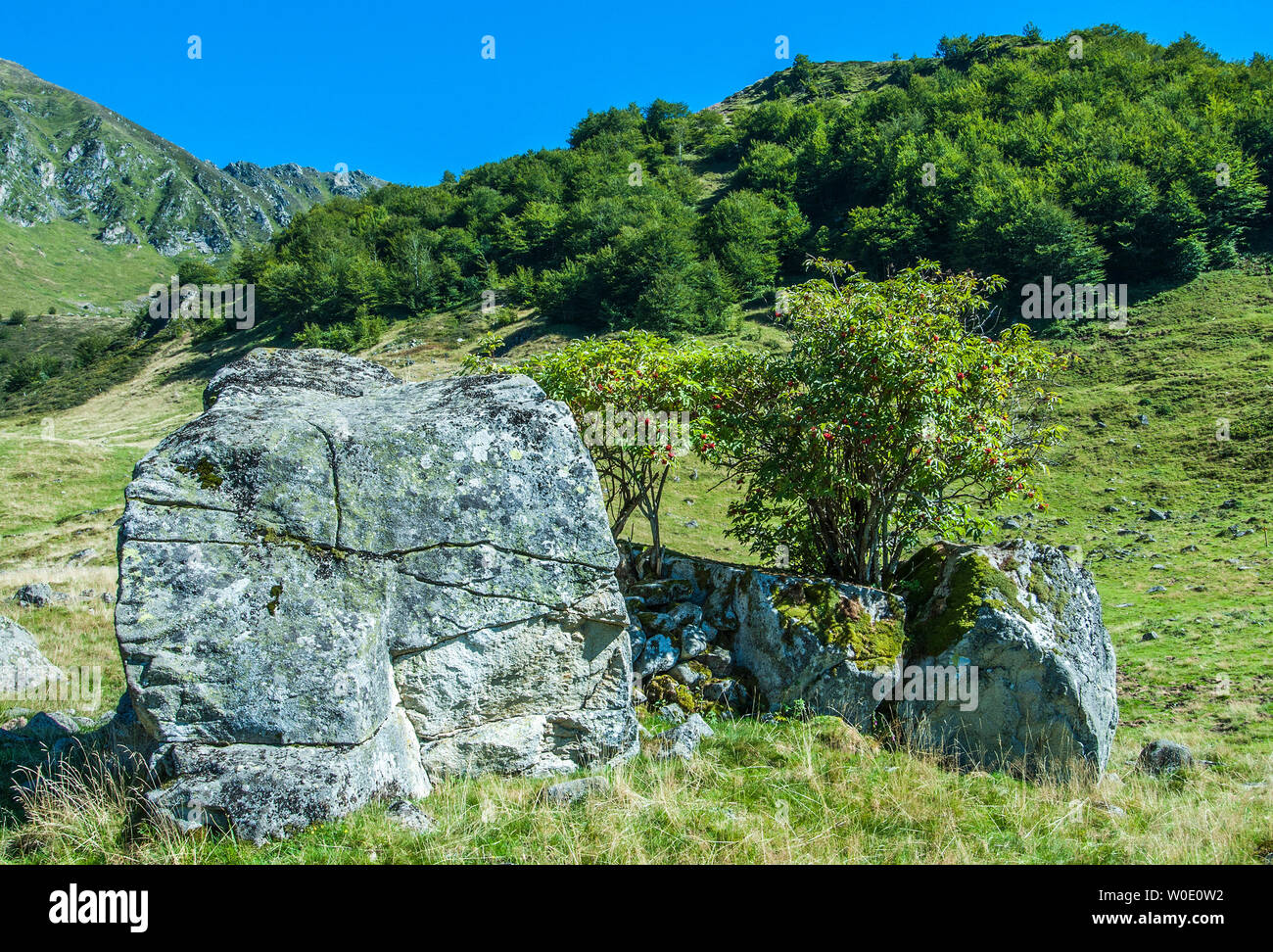 France, Pyrenees Ariegeoises Regional Nature Park, Bassies lakes hiking ...