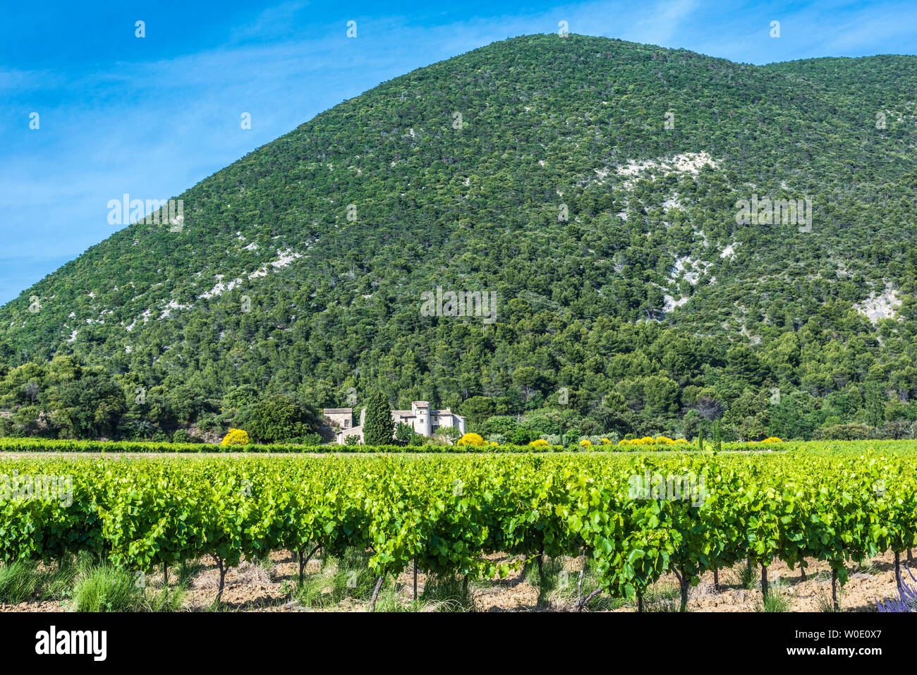 France, Drome, Regional nature park of Baronnies Provencales, Venterol ...