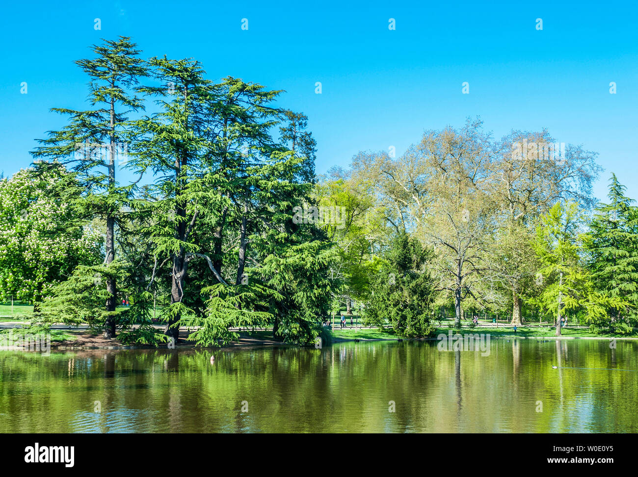 France, Gironde, Bordeaux, lake in the Parc Bordelais Stock Photo - Alamy