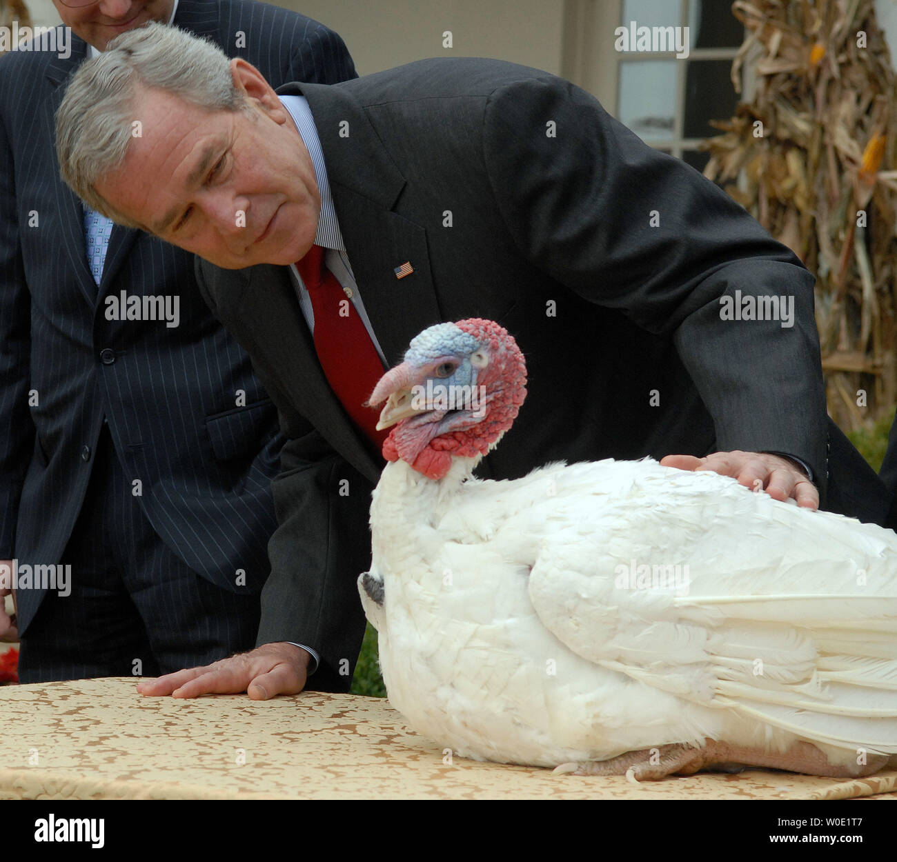 U.S. President George W. Bush stands with a turkey named May after ...