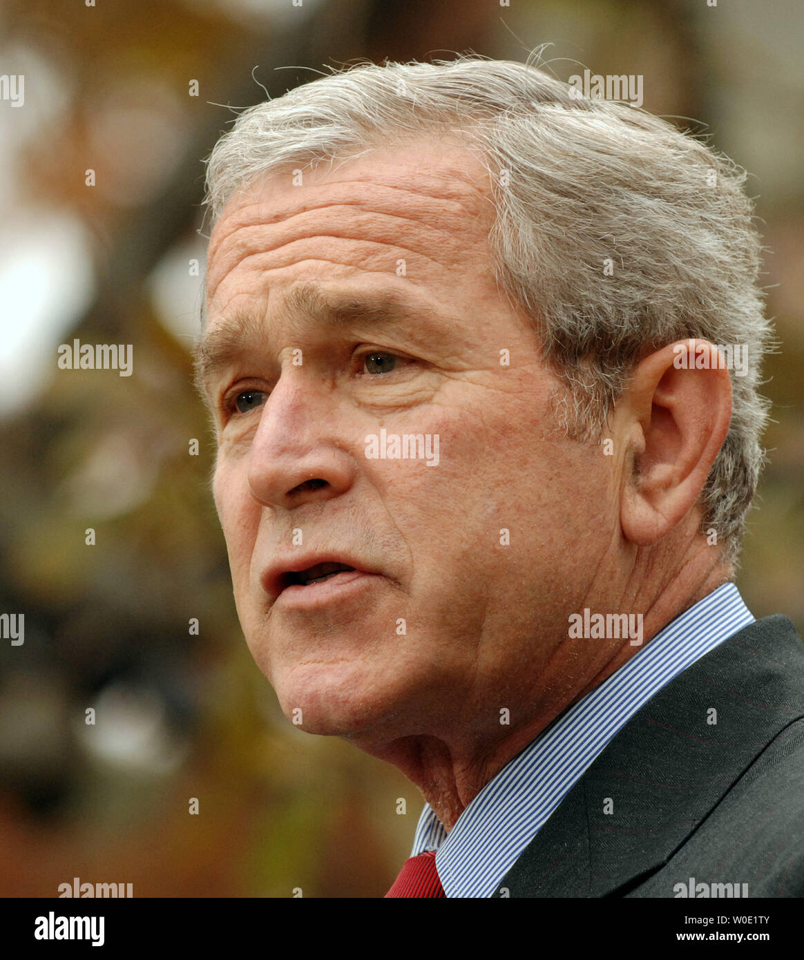 U.S. President George W. Bush pardons the National Thanksgiving Turkeys ...
