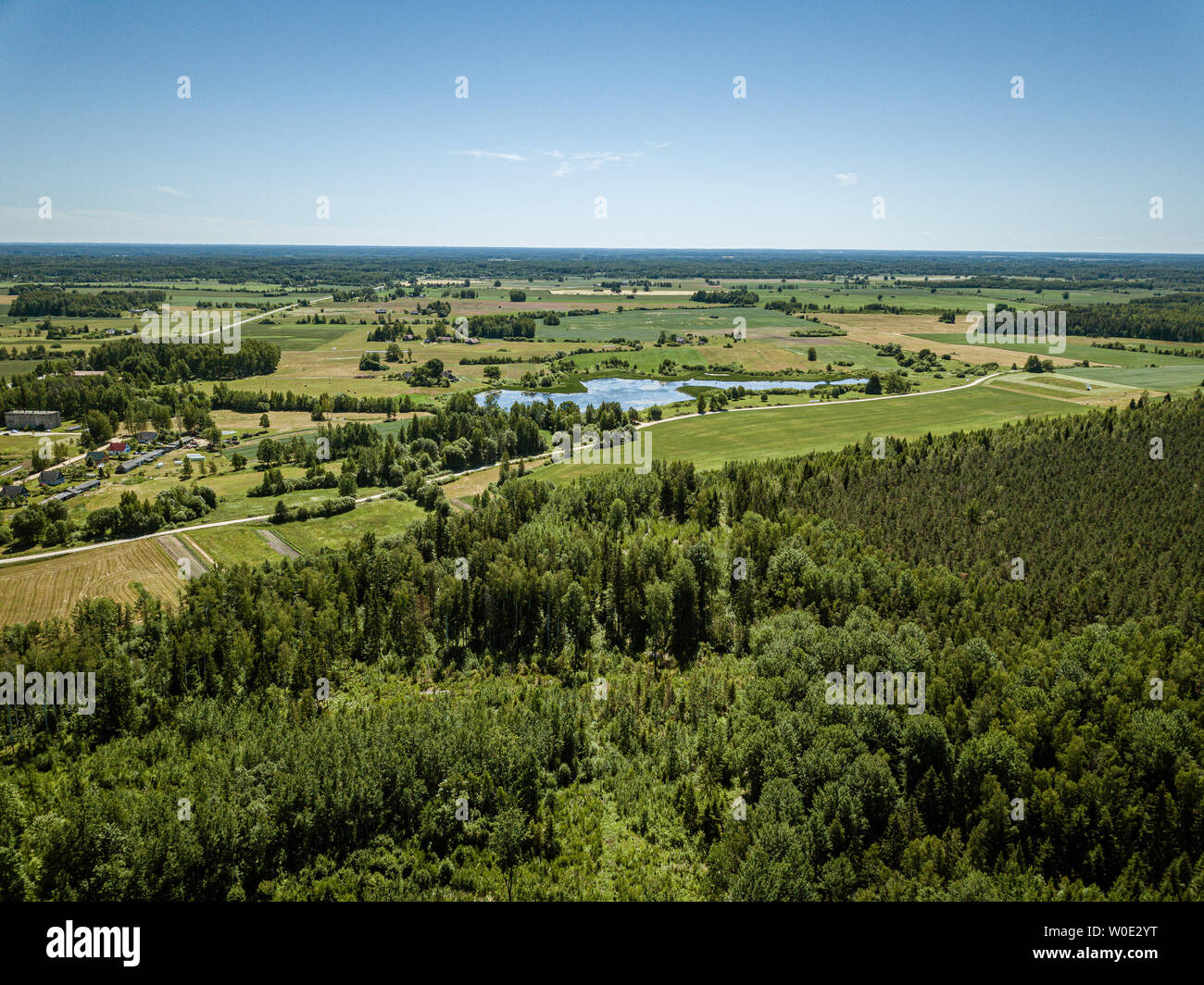 endless green forest from drone aerial image in summer. birds eye view ...