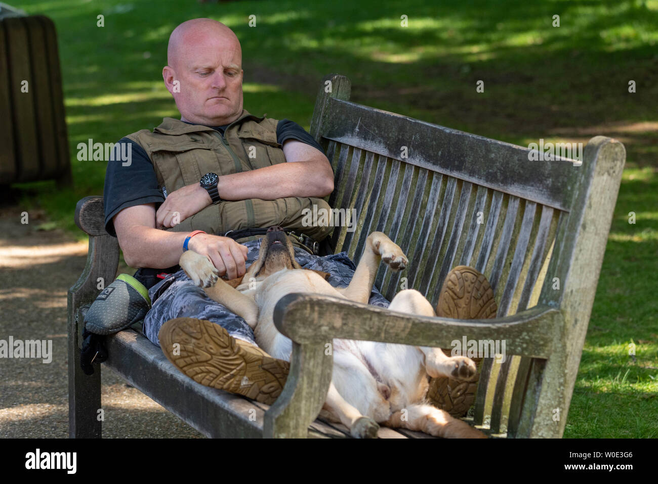 Man sleeping on bench with dog in green park hi-res stock photography ...