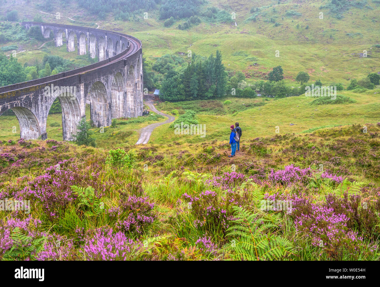 Europe, Great Britain, Scotland, Lochaber, Highlands, Glenfinnan ...