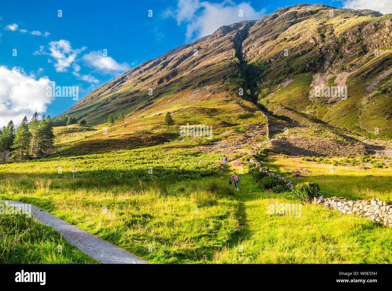 Hagrids Harry Potter High Resolution Stock Photography and Images - Alamy