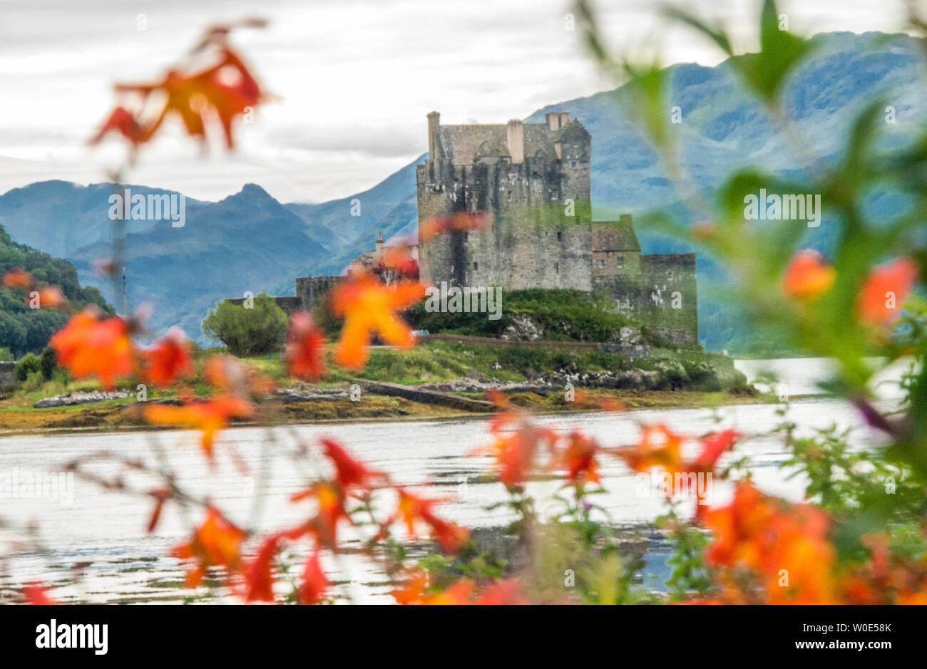 Europe, Great Britain, Scotland, Highlands west coast, council aera of ...