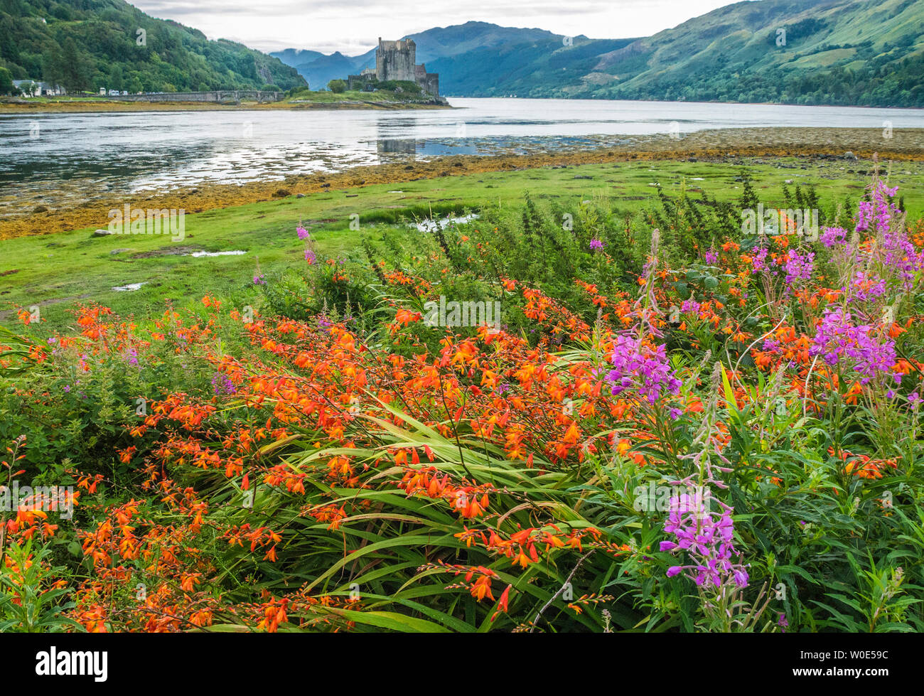 Europe, Great Britain, Scotland, Highlands west coast, council aera of ...