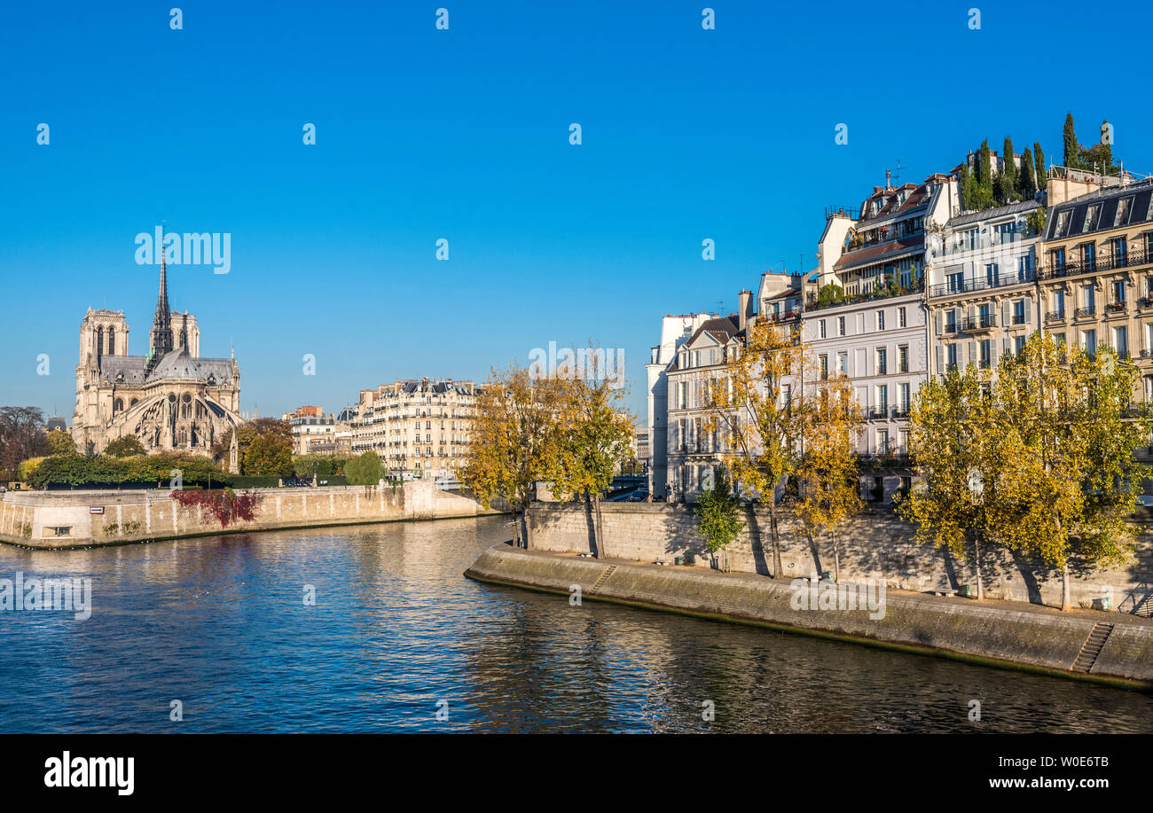 France, Paris, 4th arrondissement, Notre-Dame of Paris on the Ile de la ...