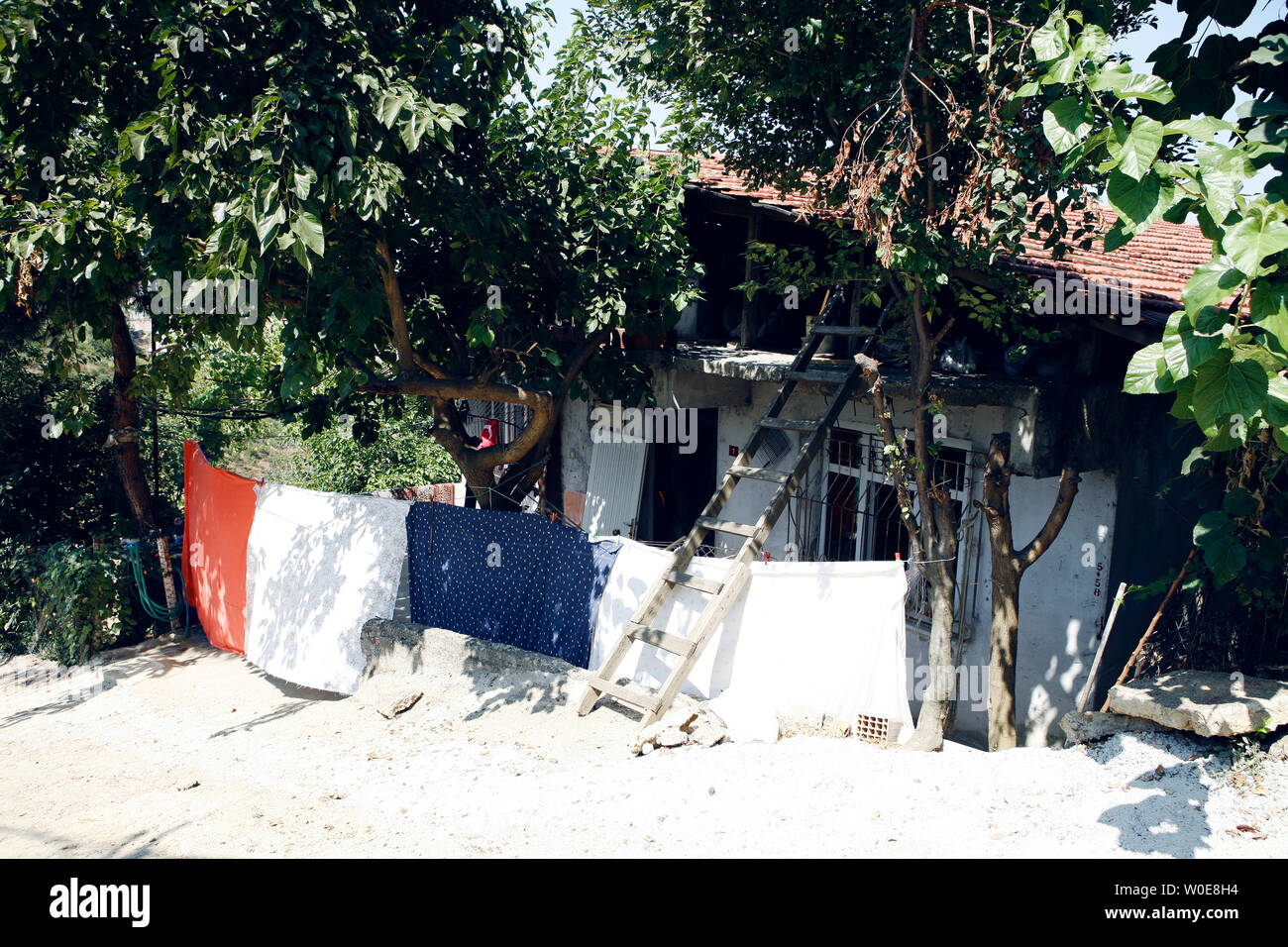 A little shack surrounded by trees hides in the asian countryside ...