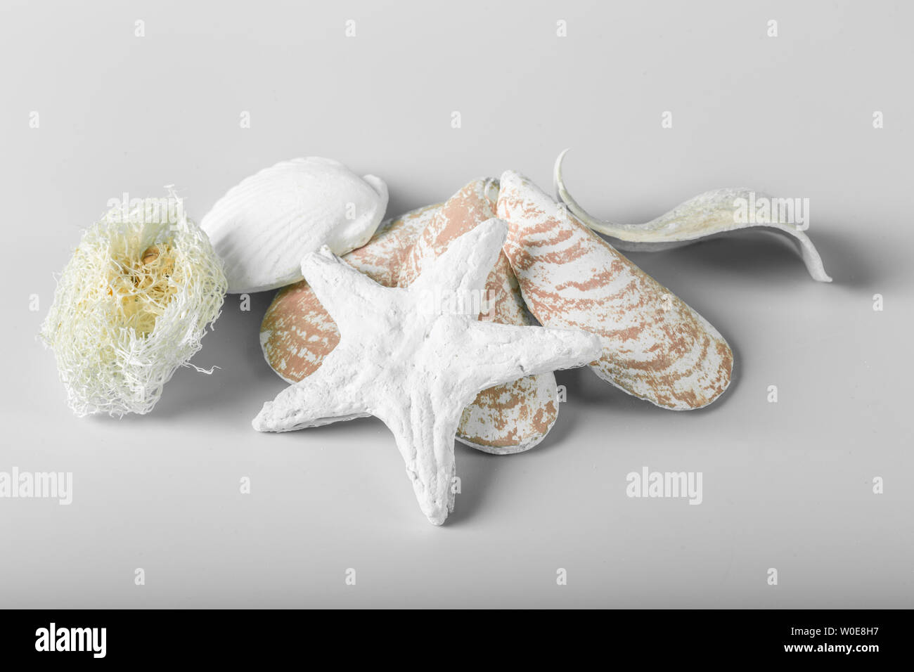 decorational sea shells isolated over the white background Stock Photo ...