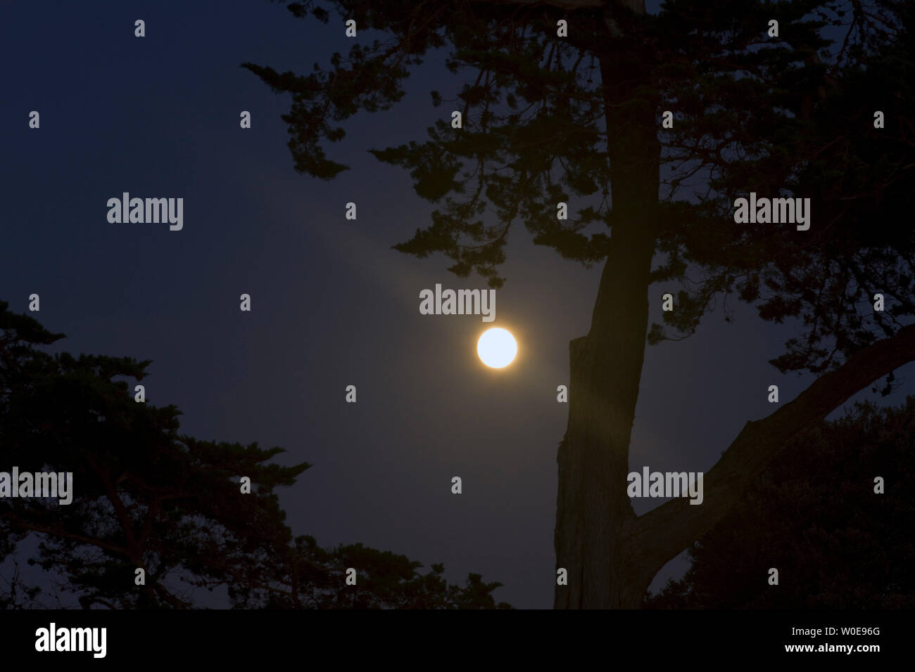 Moonlight effect hi-res stock photography and images - Alamy
