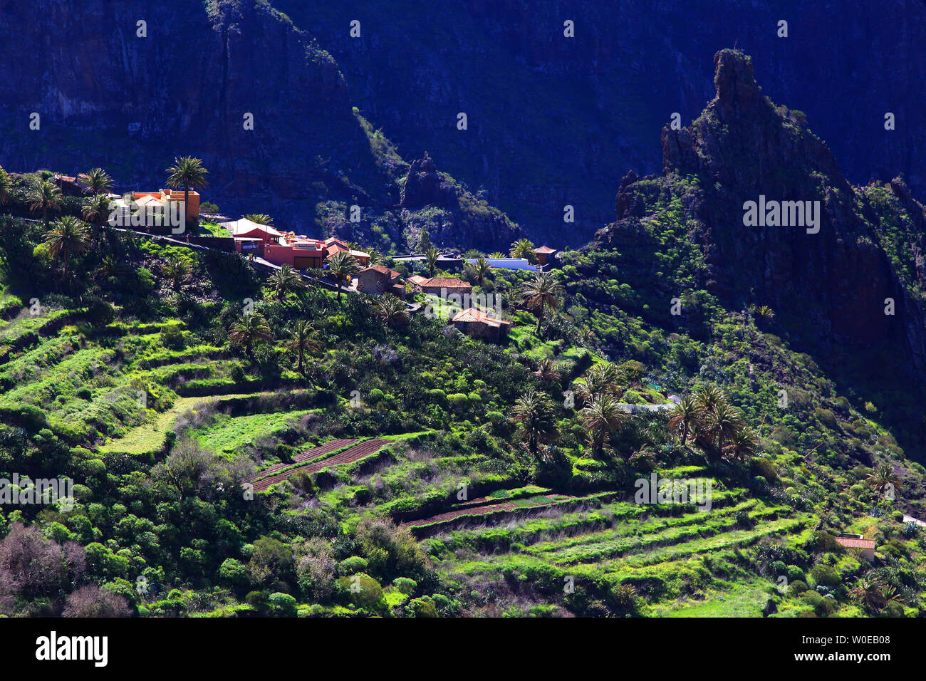 Tenerife masca hi-res stock photography and images - Alamy