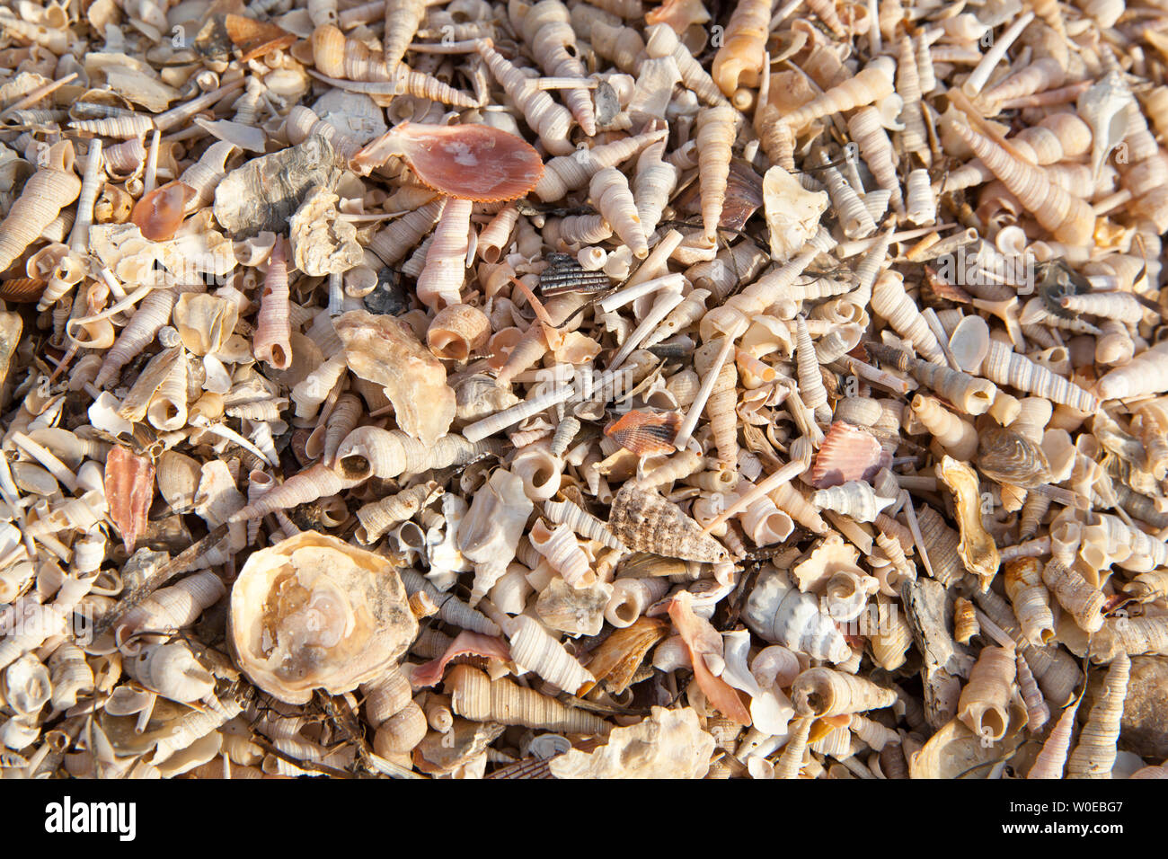 Full frame beach hi-res stock photography and images - Alamy