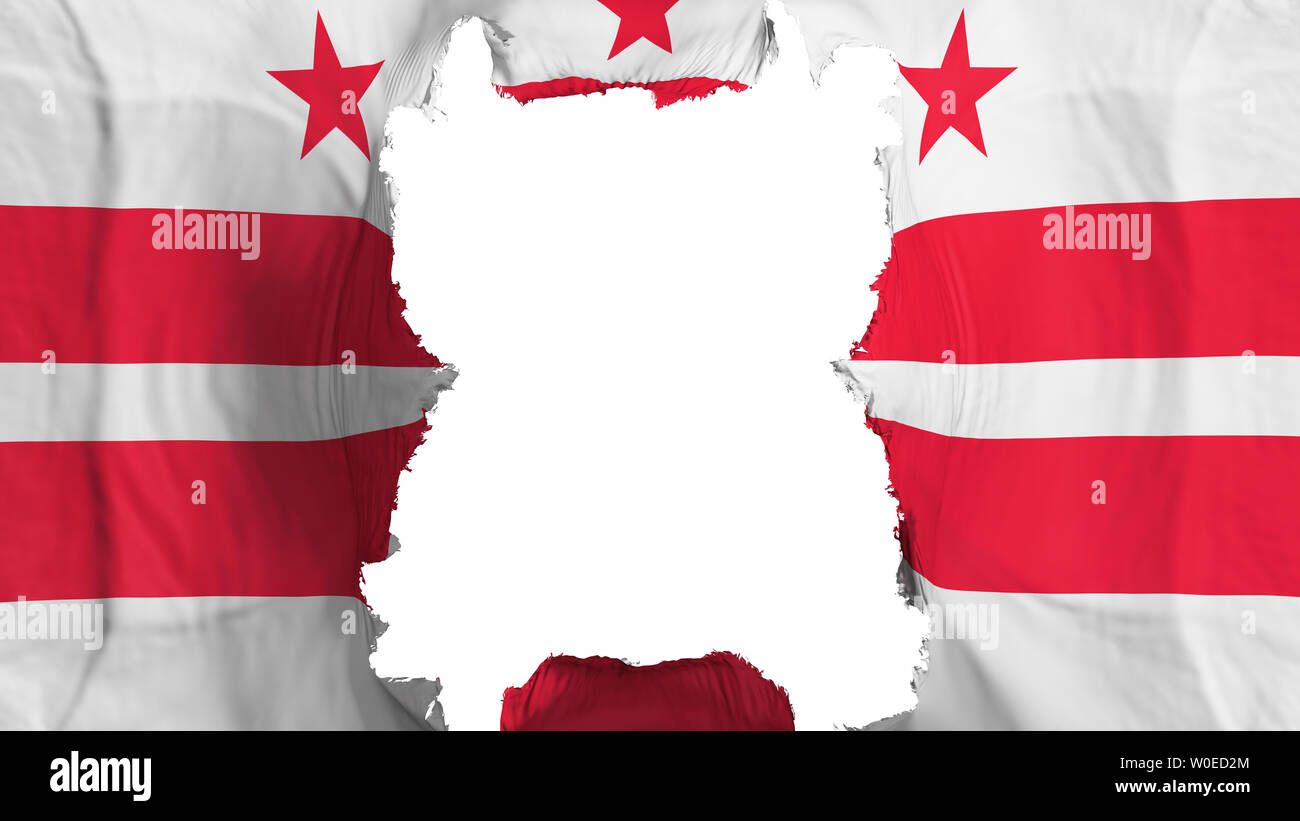 Ripped Washington DC city, capital of United States of America flying ...