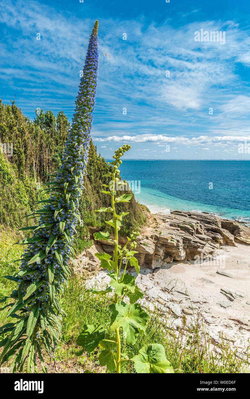 France, Brittany, Ile de Groix, geological nature reserve François-le ...