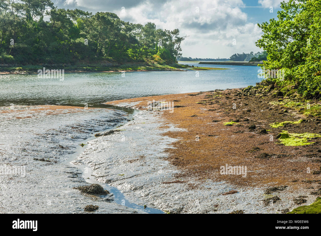 France, Brittany, Finistere, Pont-l'Abbé river Stock Photo - Alamy