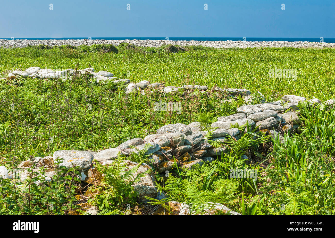 France, Brittany, Ile de Sein, old fields protected by low walls made ...