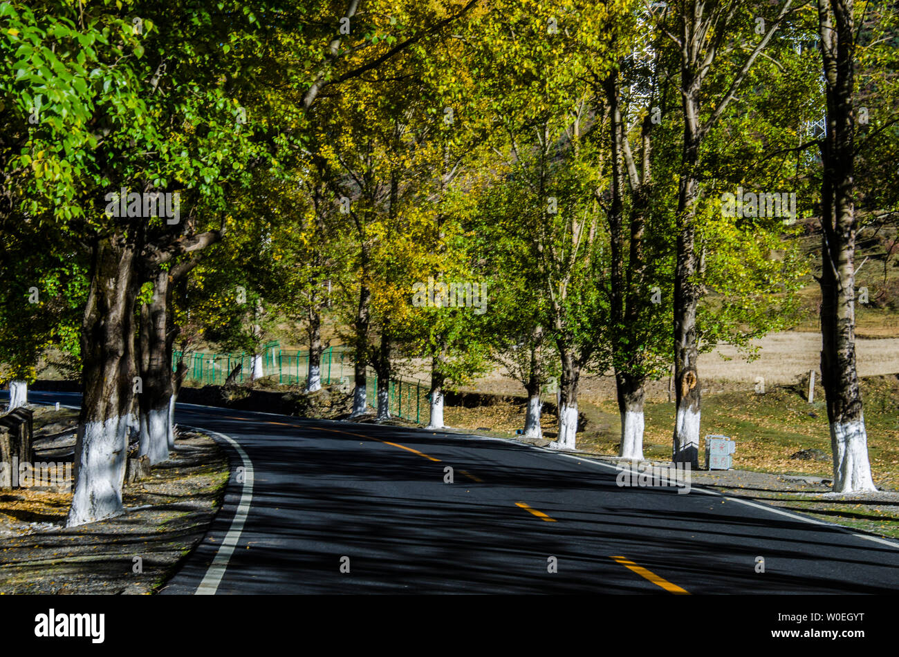 Autumn in western Sichuan, the world of light and shadow of Xindu ...