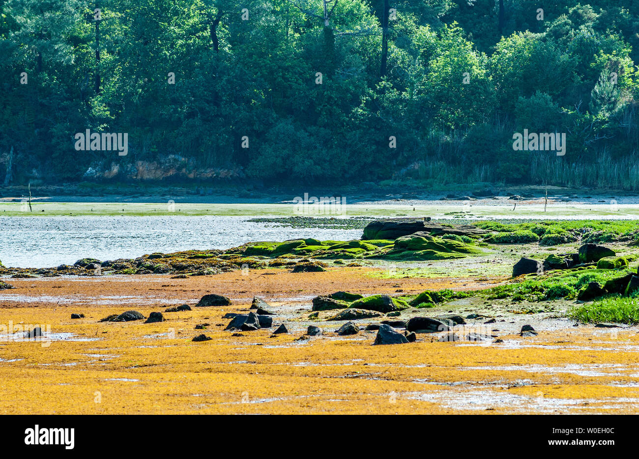 Nevez hi-res stock photography and images - Alamy