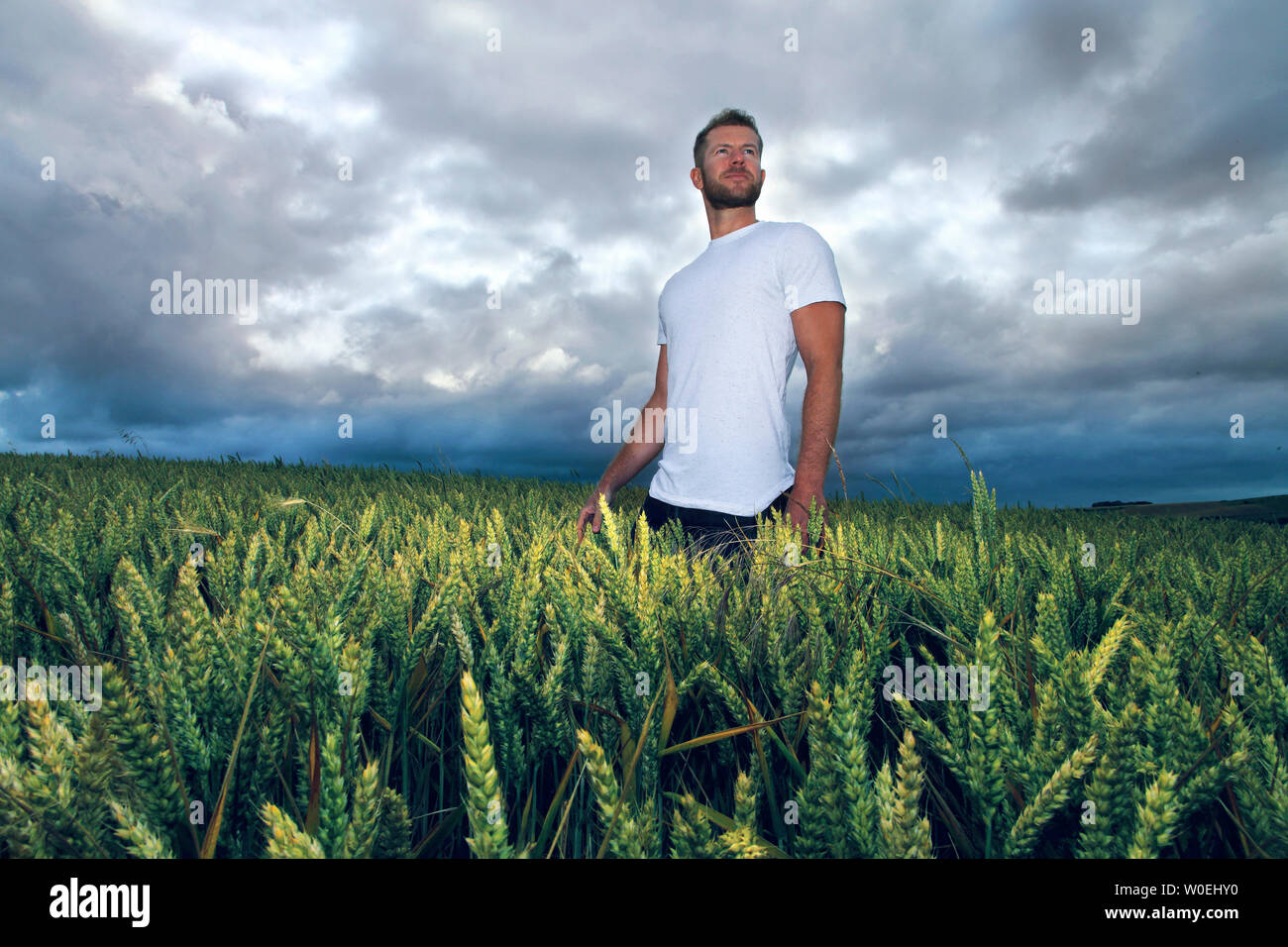 Young man in a wheat field Stock Photo - Alamy