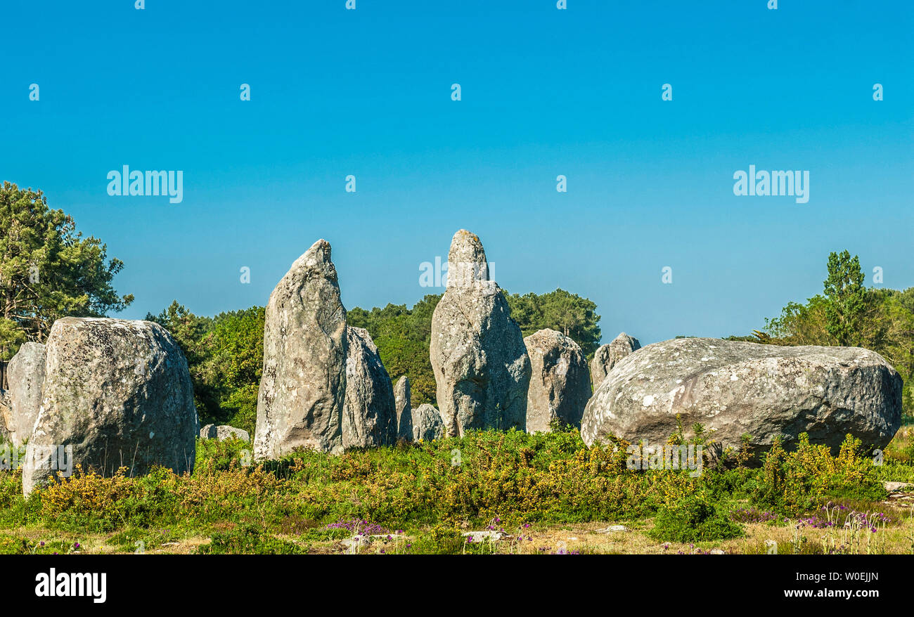 France, Brittany, Morbihan, Carnac stone row (Neolithic period Stock ...
