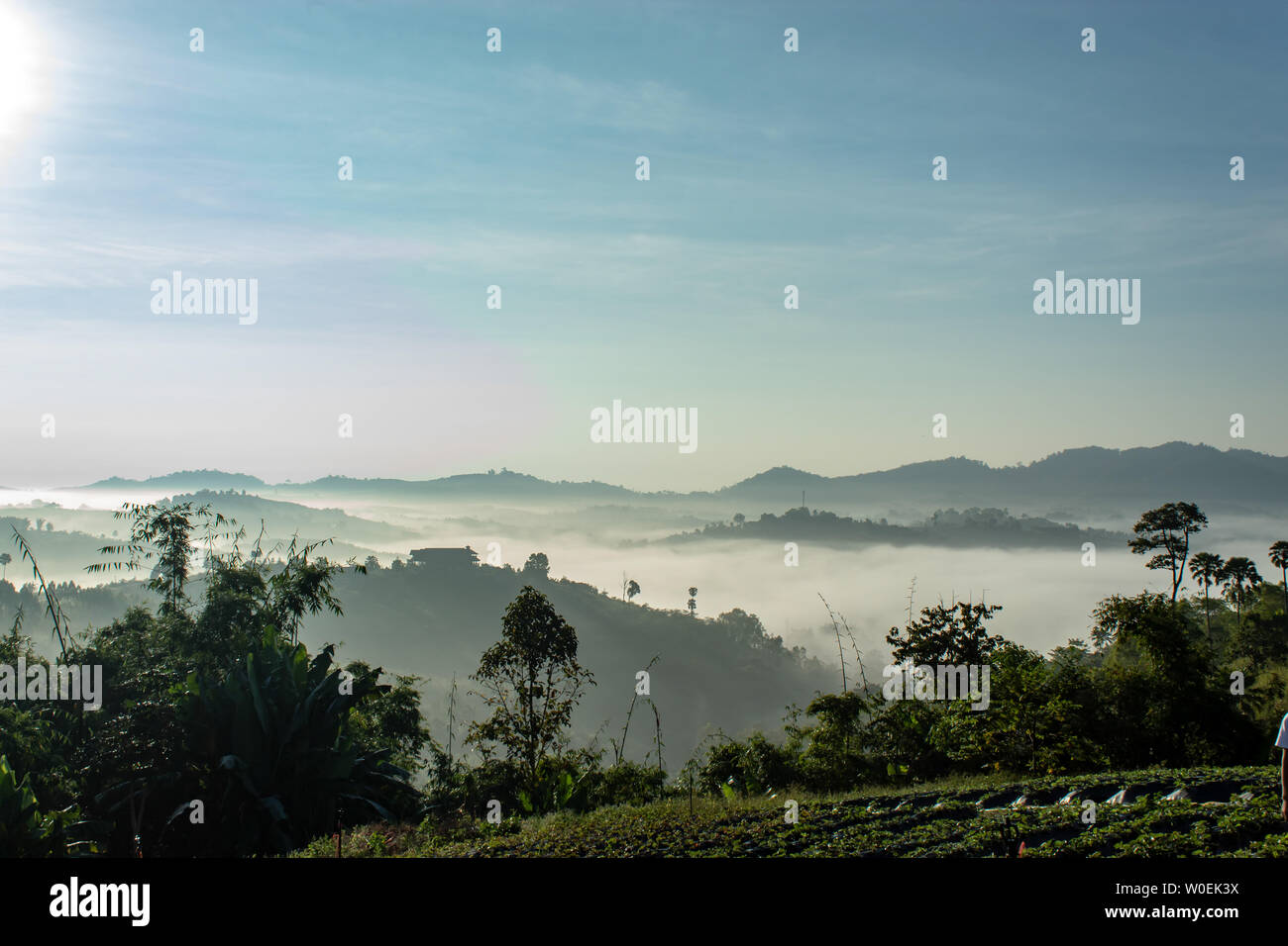 Countryside scenic fog environment hi-res stock photography and images ...