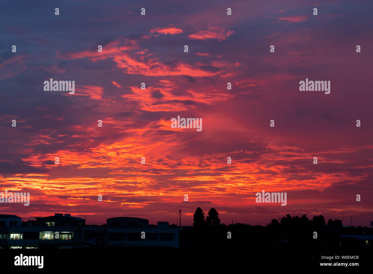 Light behind leaf hi-res stock photography and images - Alamy