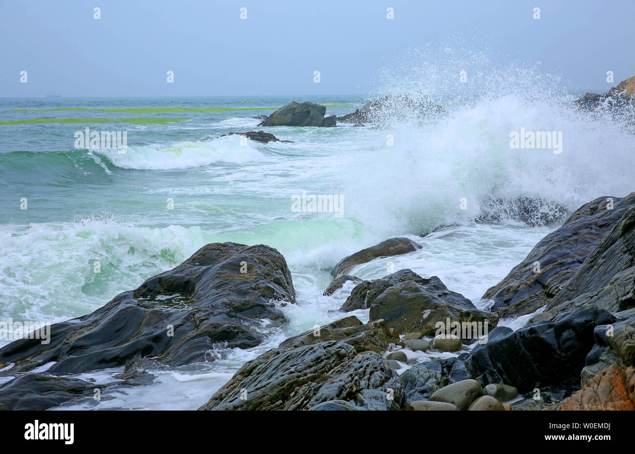 A group of pictures of the soul of the sea Stock Photo - Alamy