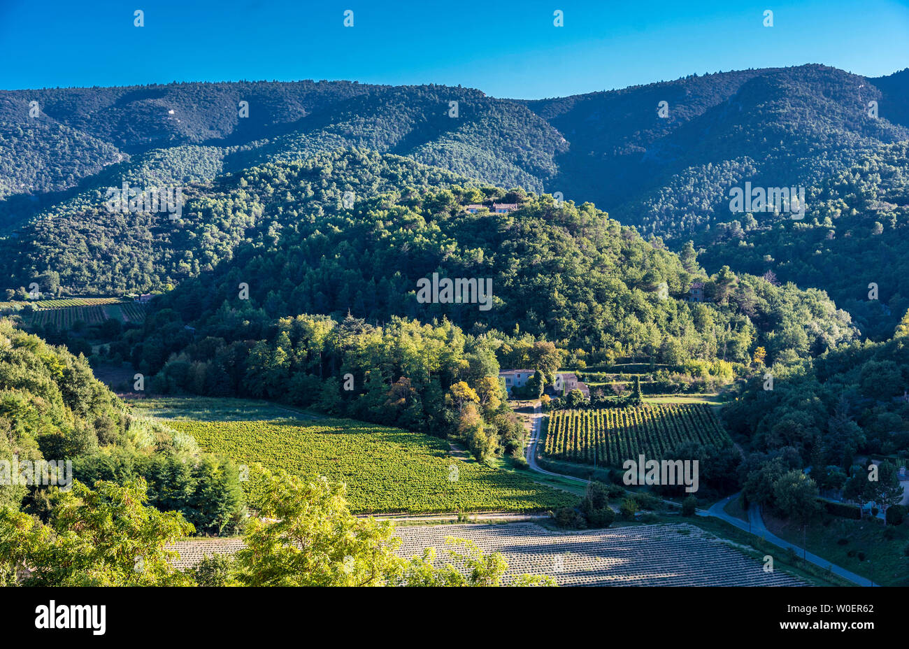 France, Lubéron, Vaucluse, the Lubéron mountain seen from Ménerbes ...