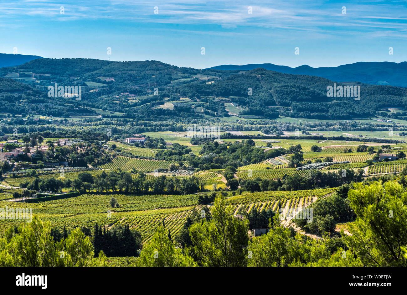 France, Drôme, France, Drôme, Vinsobres, vines at Vinsobres Stock Photo ...