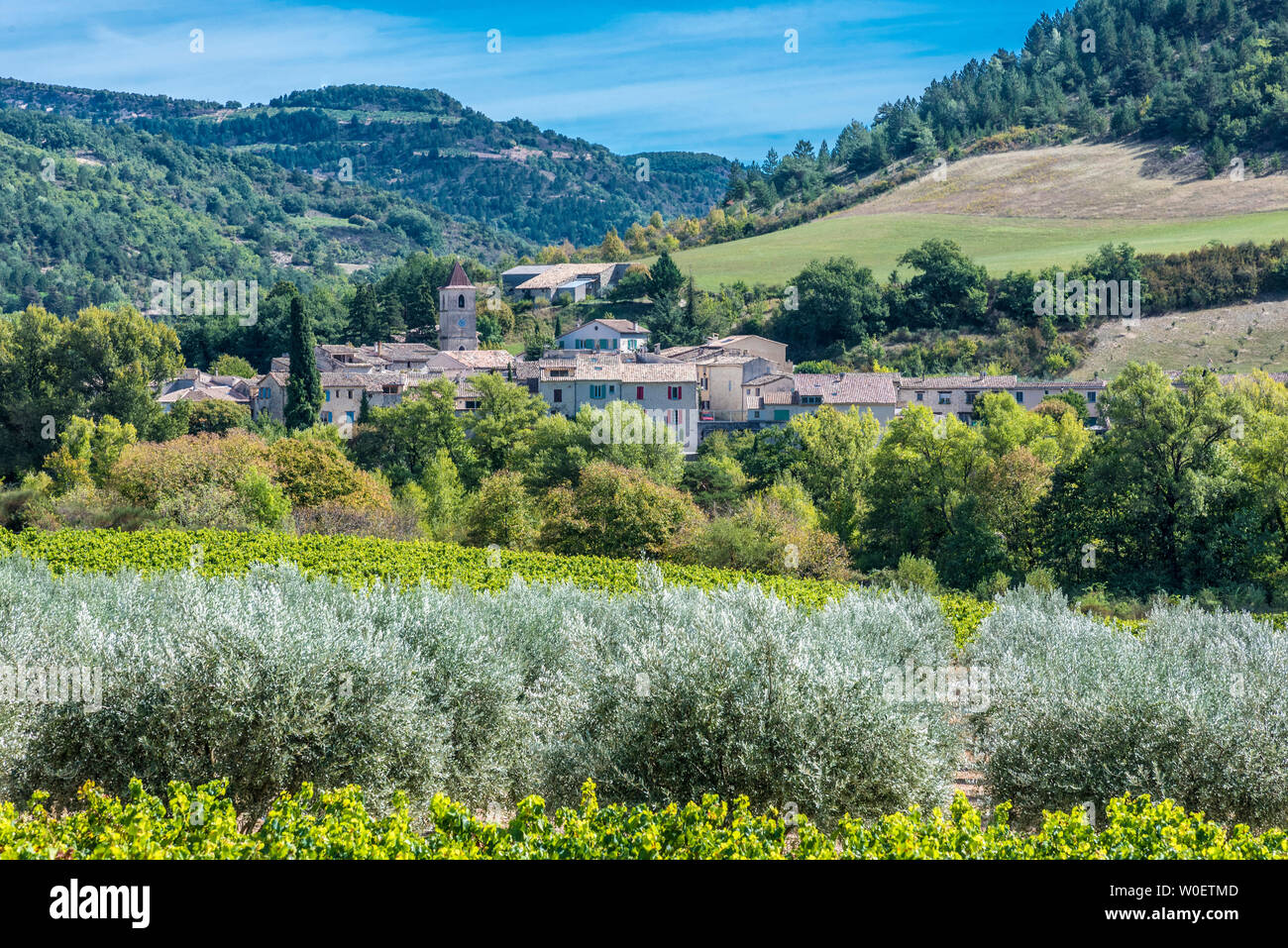France, Provence, Drôme, Venterol, the village, vines and olive trees ...
