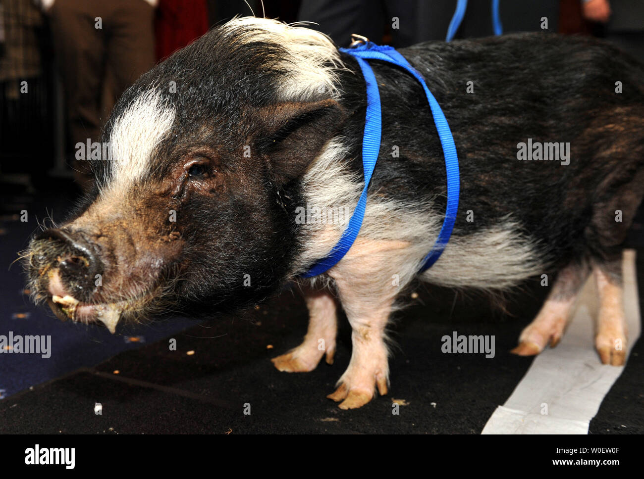 Kevin dudley hi-res stock photography and images - Alamy