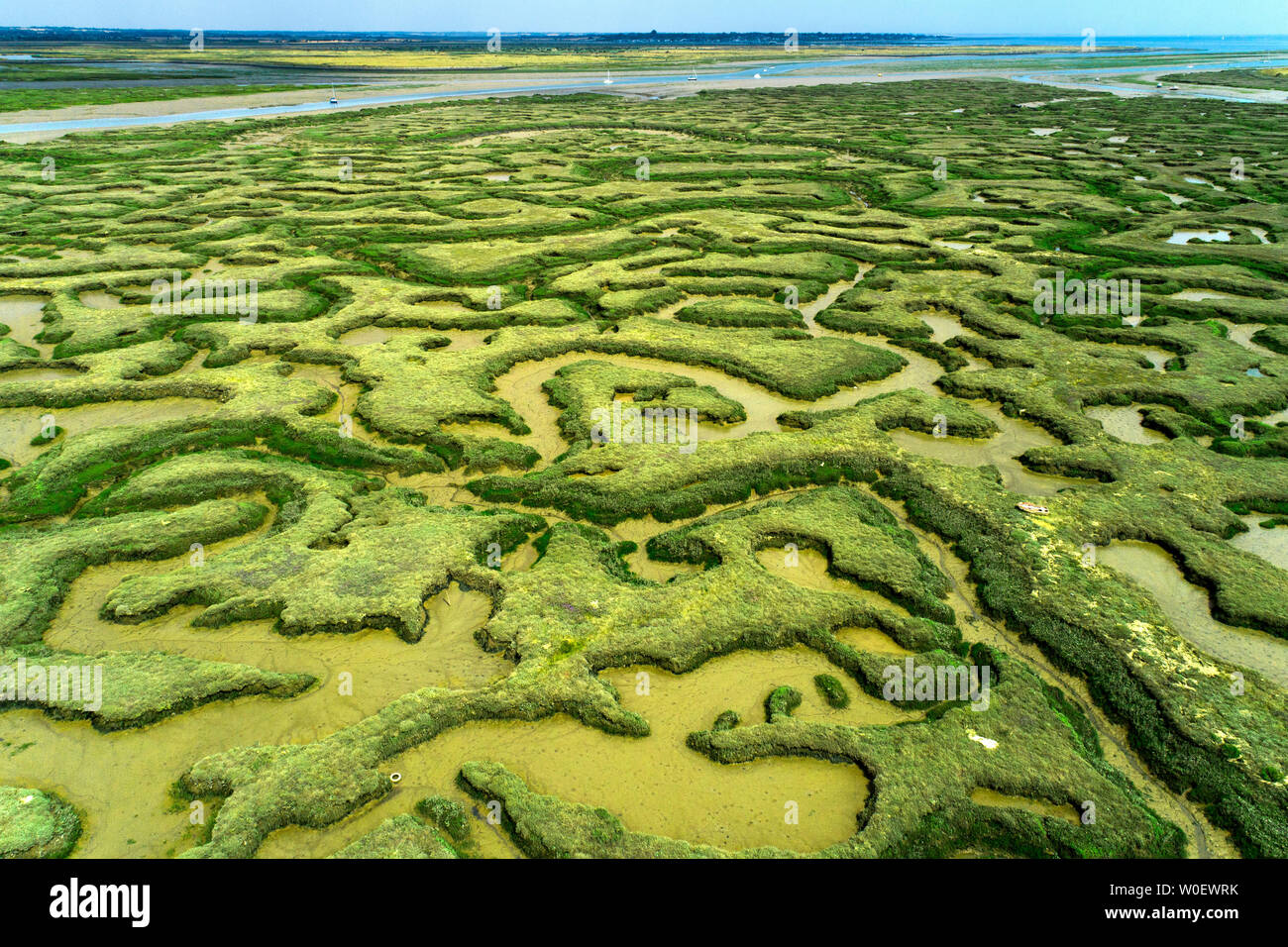 Marshland england hi-res stock photography and images - Alamy