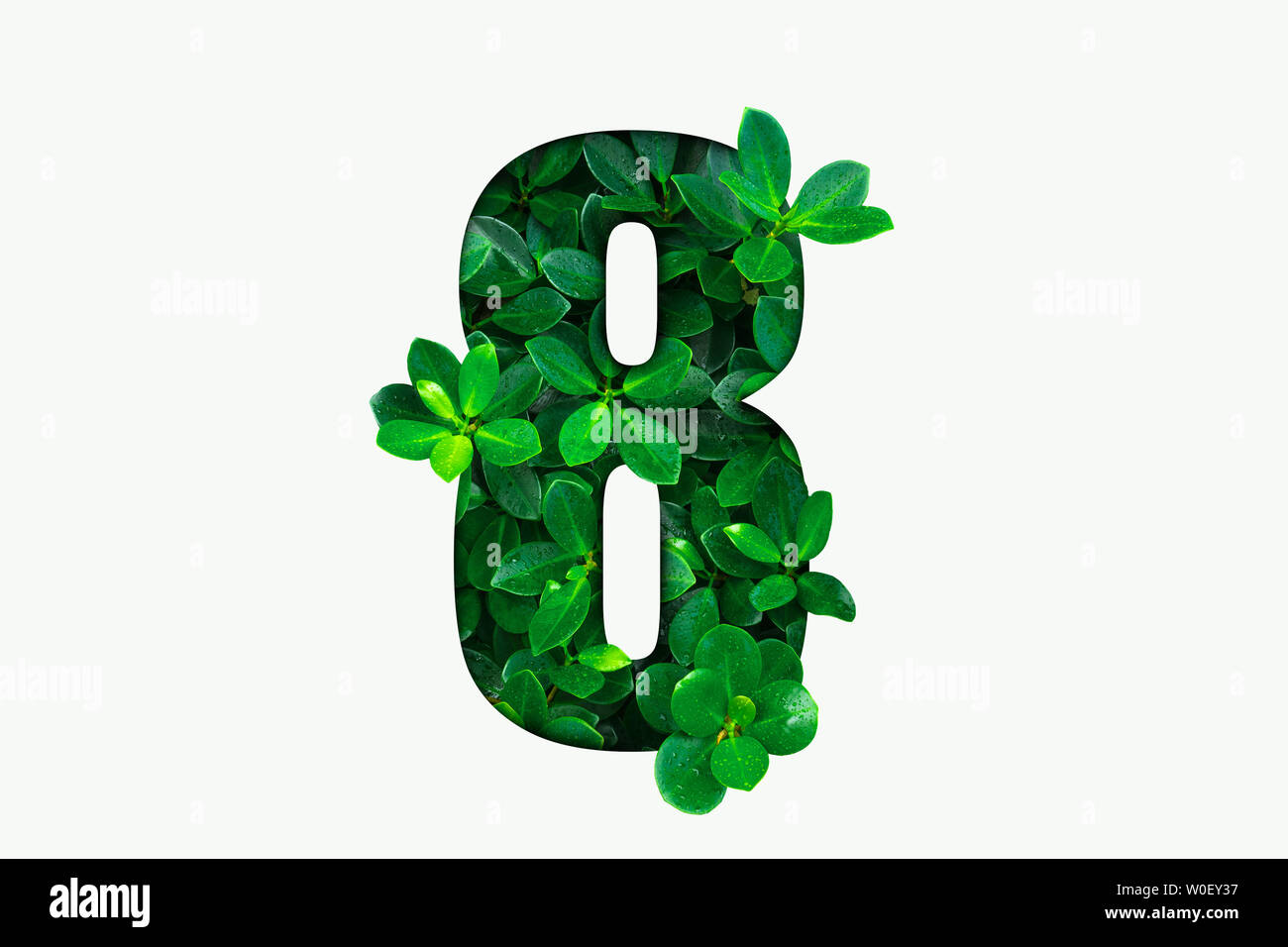 Nature concept alphabet of green leaves in number eight shape Stock ...