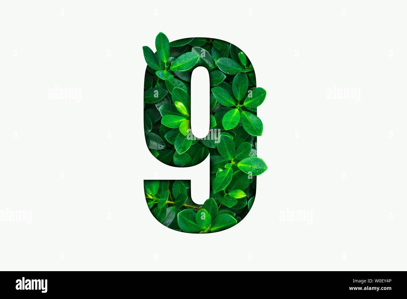 Nature concept alphabet of green leaves in number nine shape Stock ...