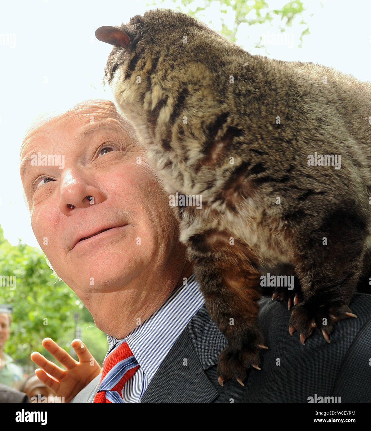 Benjamin cardin hi-res stock photography and images - Alamy