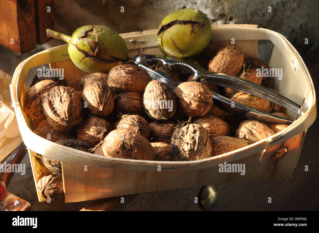 Walnut tree france hi-res stock photography and images - Alamy