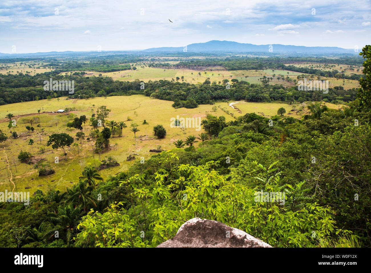 San Jose Del Guaviare High Resolution Stock Photography and Images - Alamy