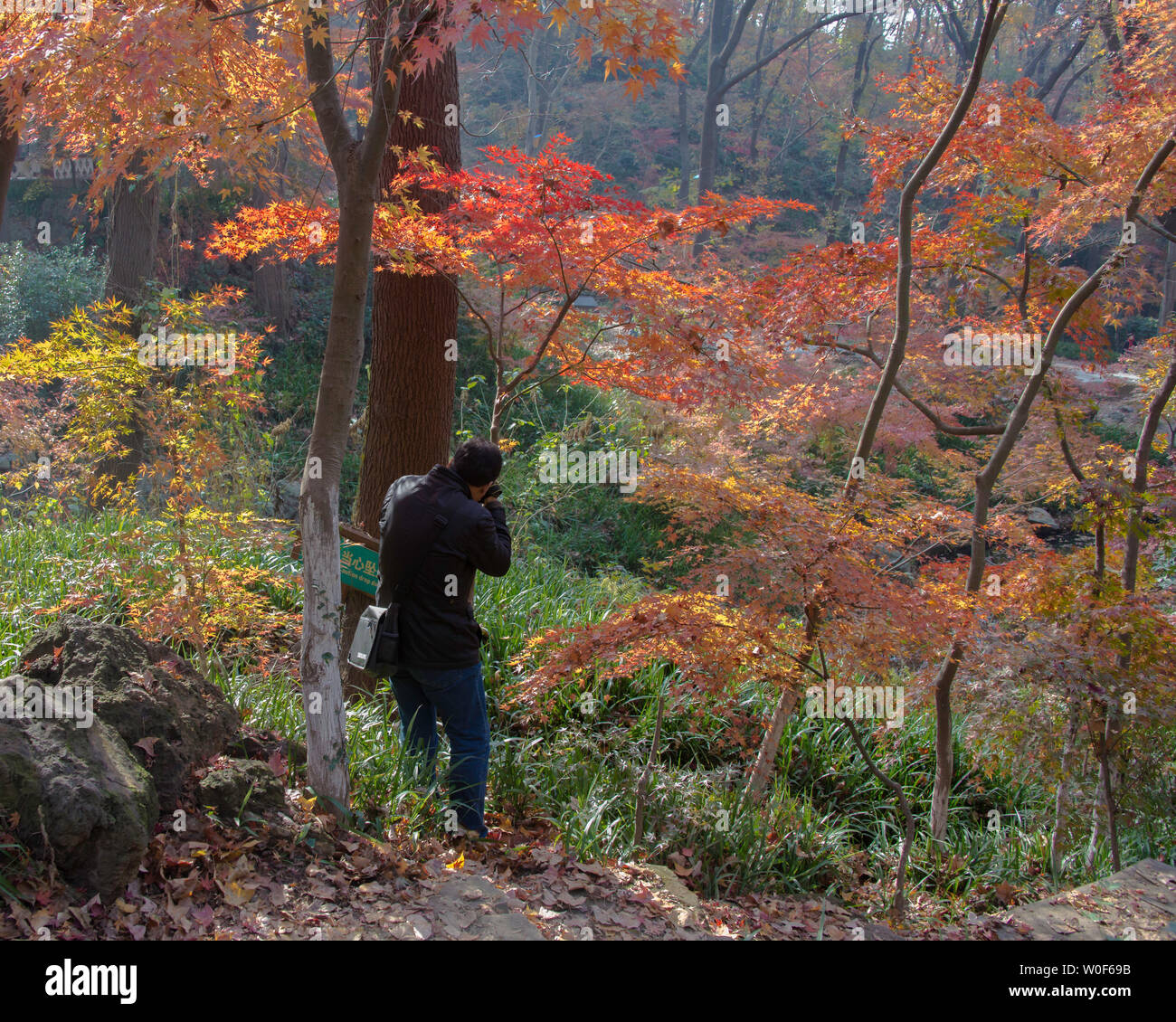 Autumn color of Qixia in Nanjing Stock Photo - Alamy