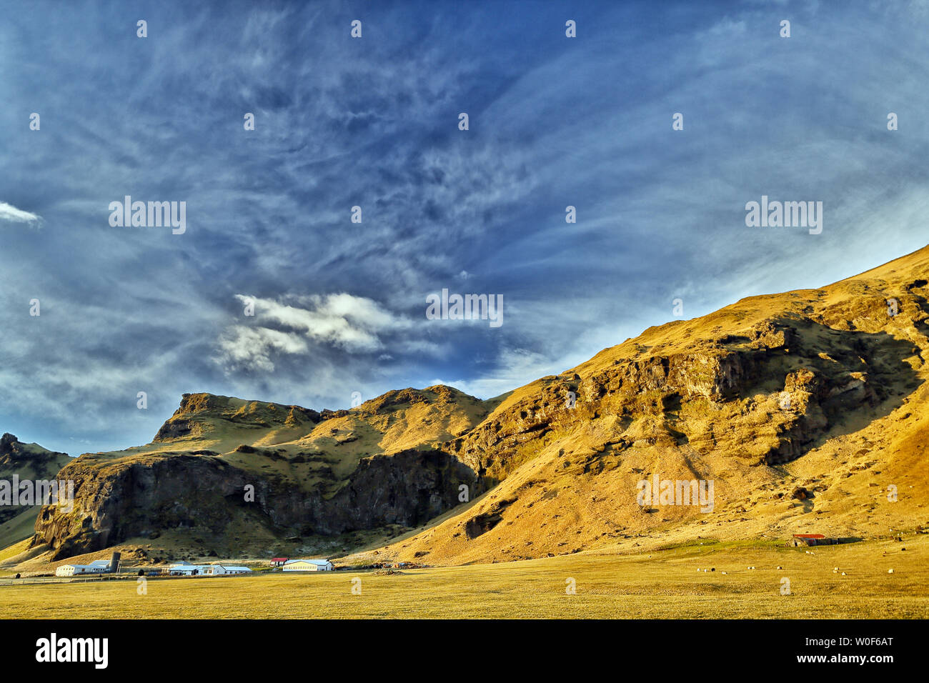 Iceland. Southern region. Skogar region. Traditional sheepfold. Sheep ...