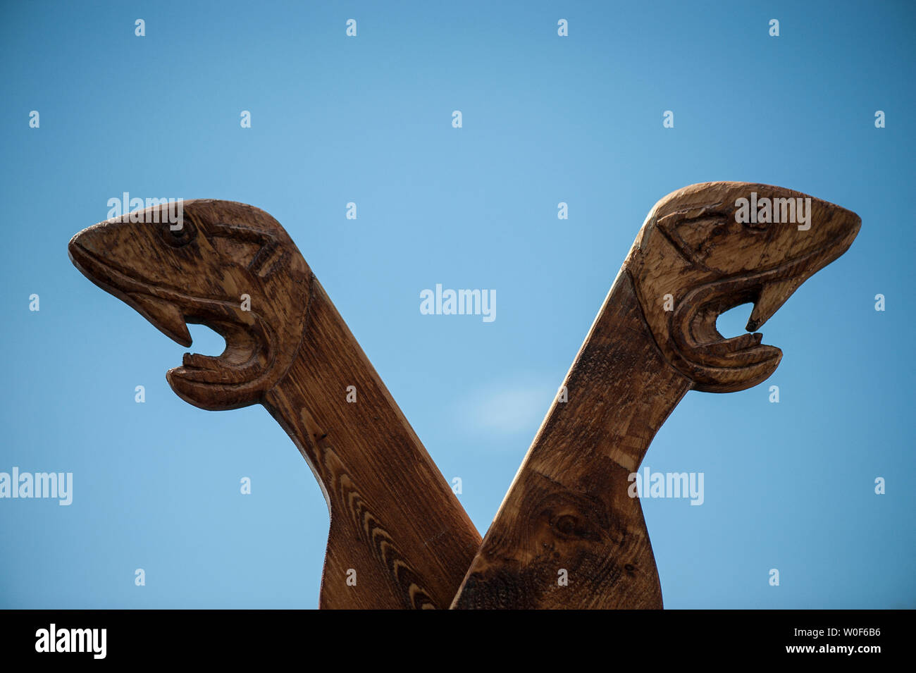 Weird Creatures High Resolution Stock Photography and Images - Alamy