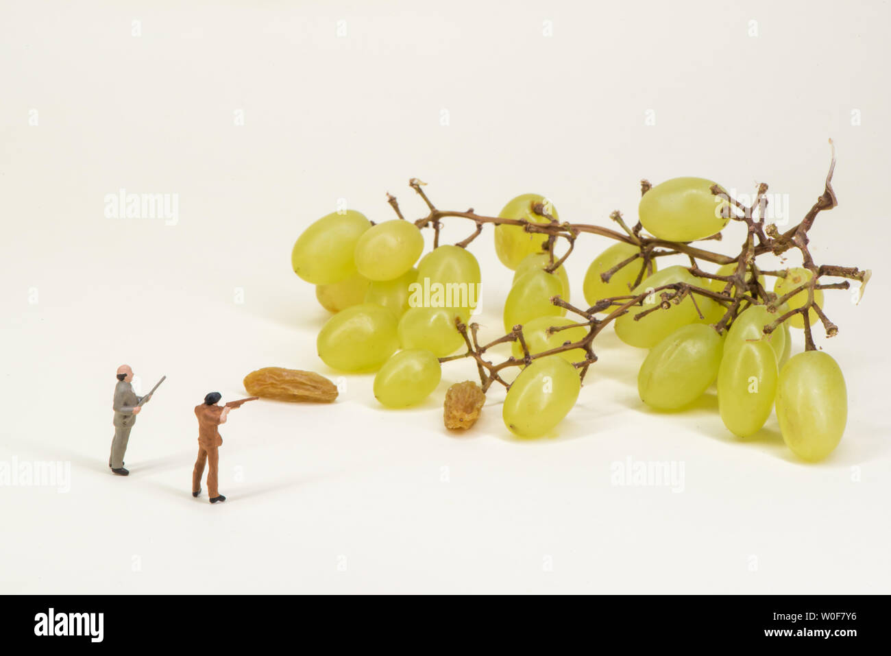 Fruit creative pictures Stock Photo - Alamy
