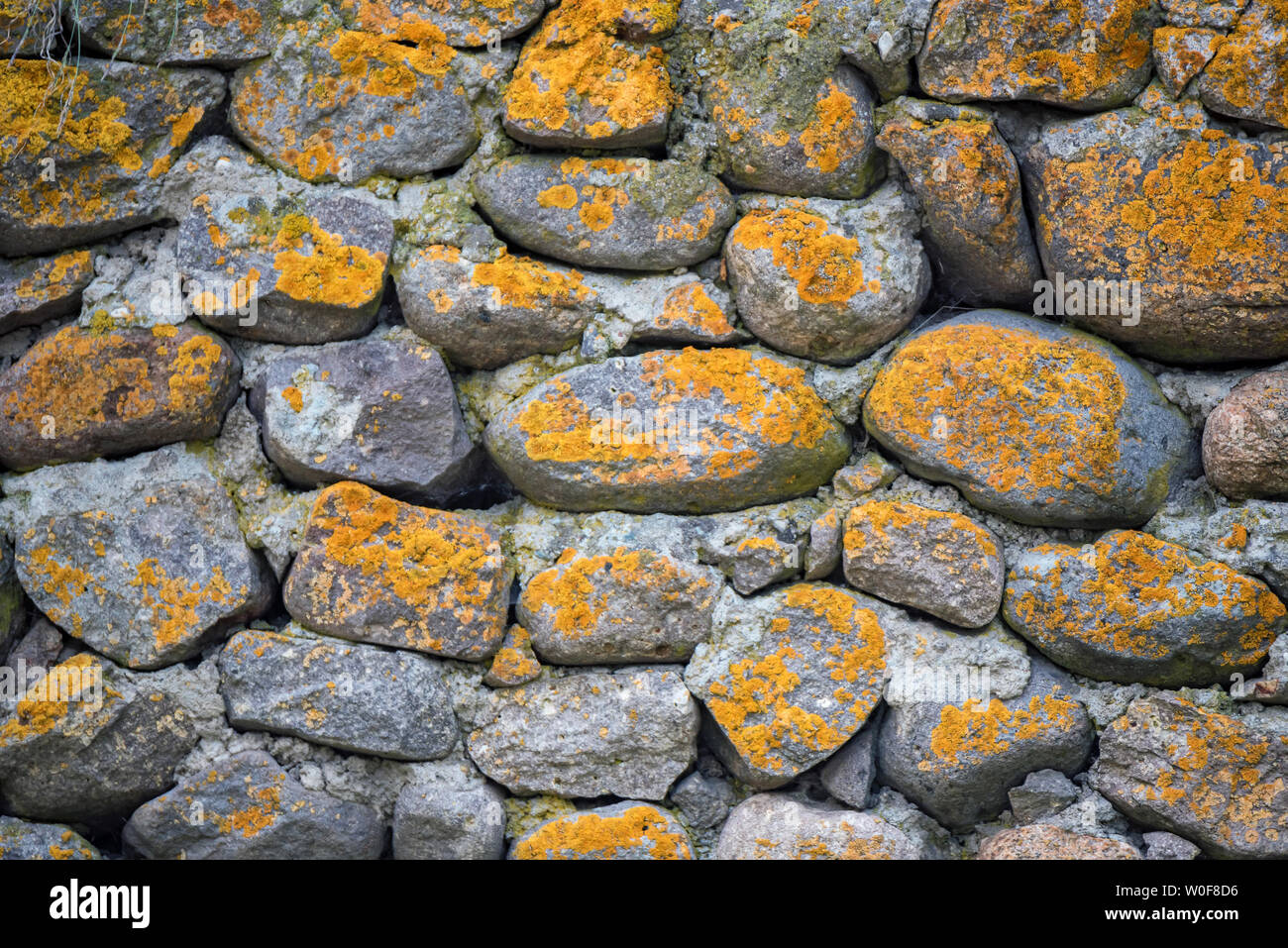 Close up image of old stone wall covered in lichen texture Stock Photo ...