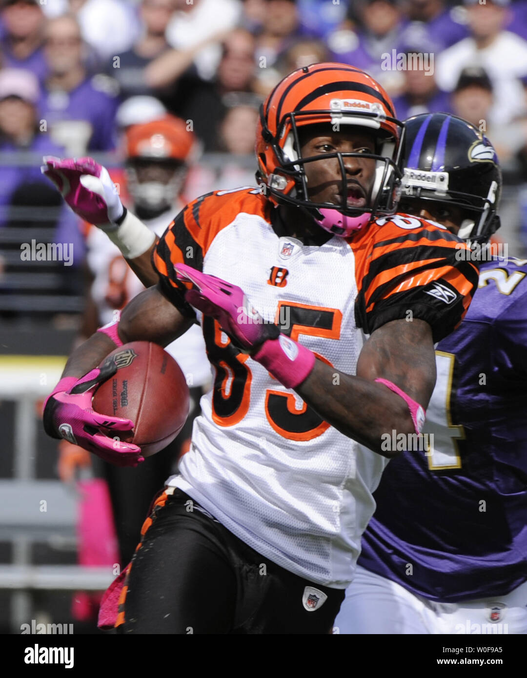 Chad bank hi-res stock photography and images - Alamy