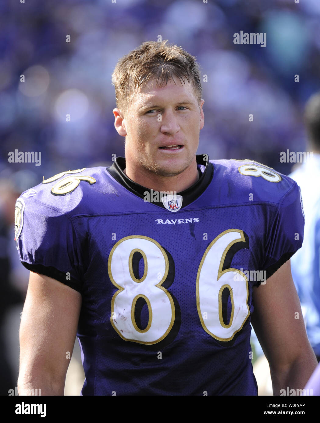 Baltimore Ravens Todd Heap (86) walks the sideline during the fourth ...