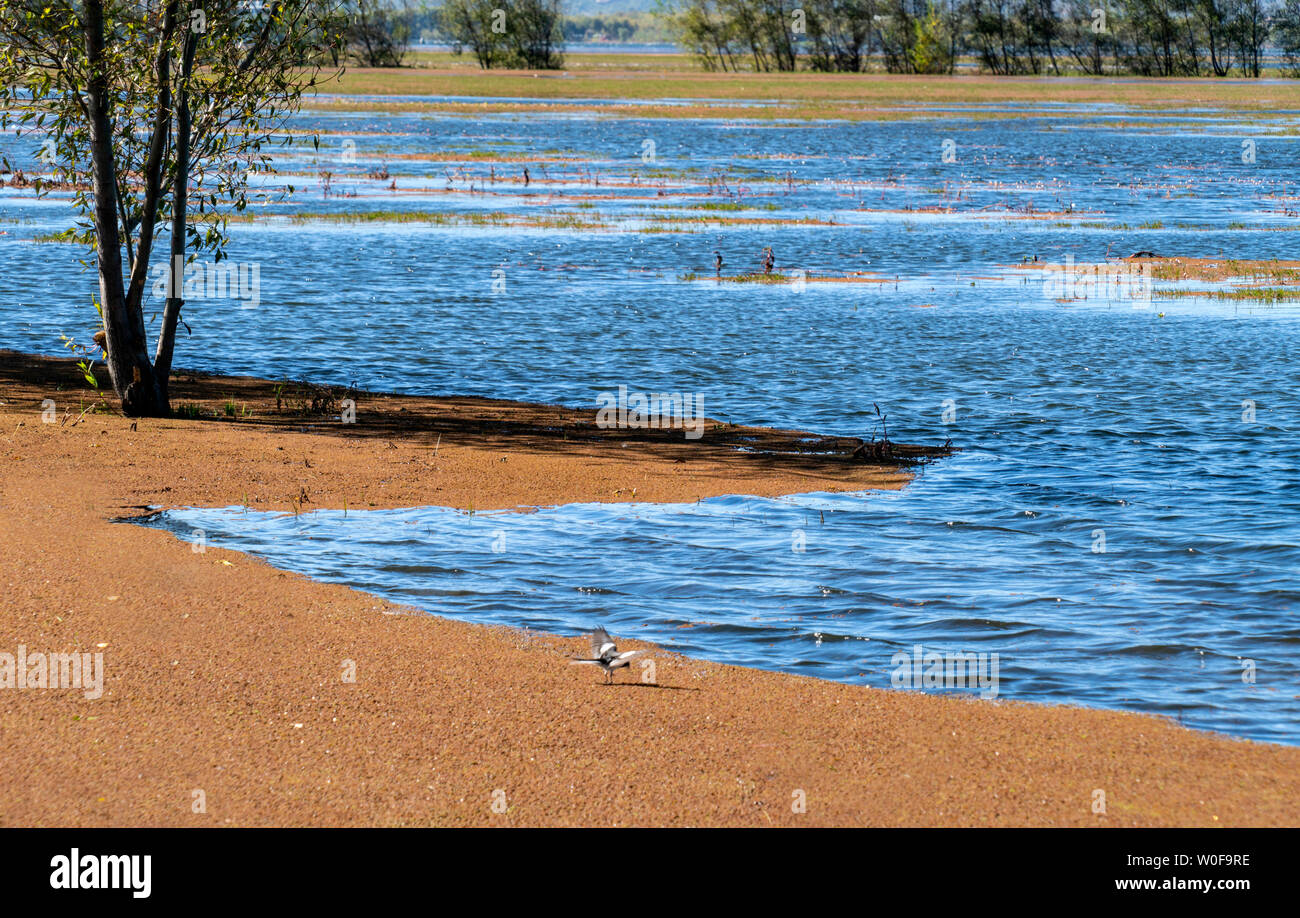 La city sea scenery Stock Photo - Alamy